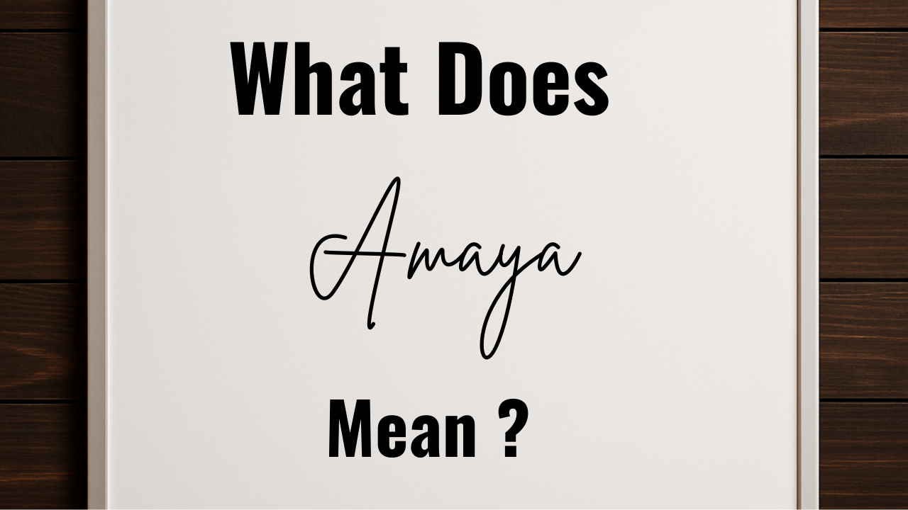 What Does the Name Amaya Mean? - My Name Means