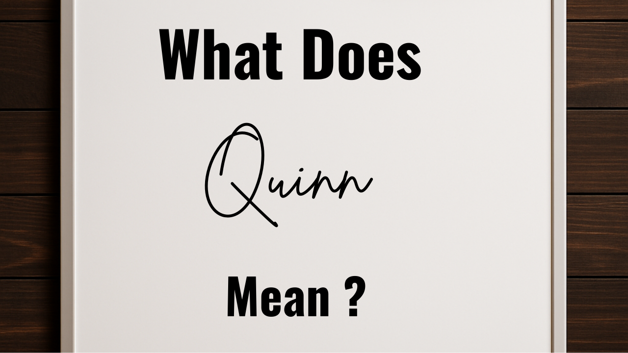 What Does Quinn Mean? - My Name Means